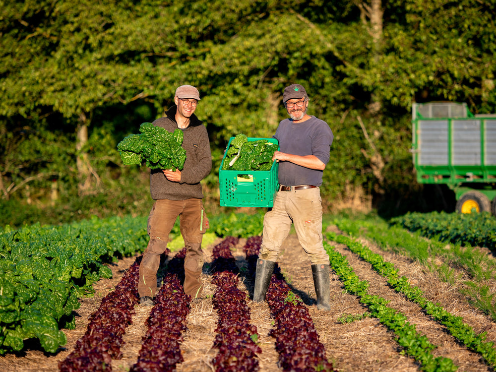 Live2Give Organics Online Shop